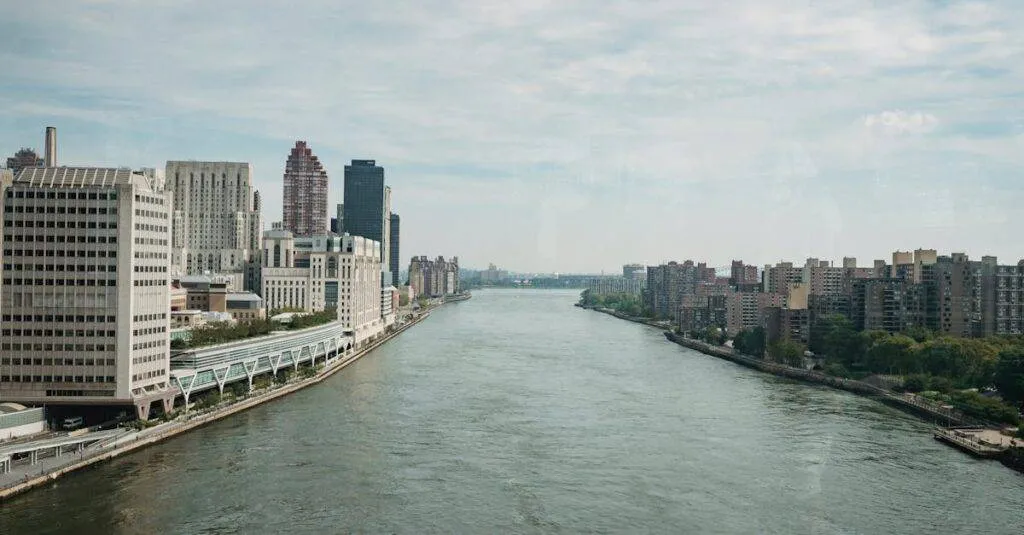 Best Way From Newark Airport To Times Square: 5 Easy Options